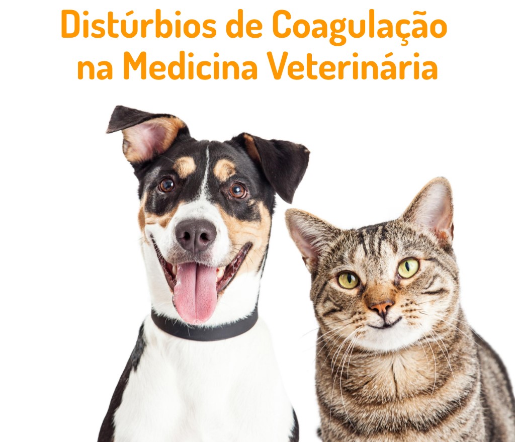 Distúrbios de Coagulação na Medicina Veterinária - ECO Diagnóstico ...