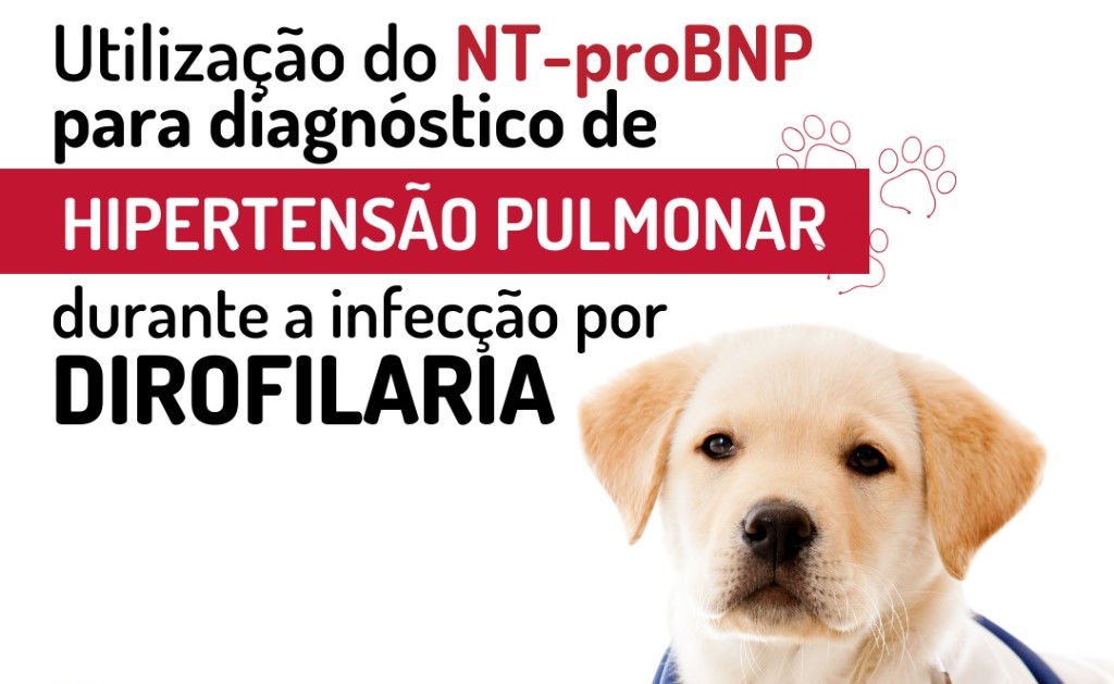 Utilização do NT-proBNP para diagnóstico de Hipertensão Pulmonar ...